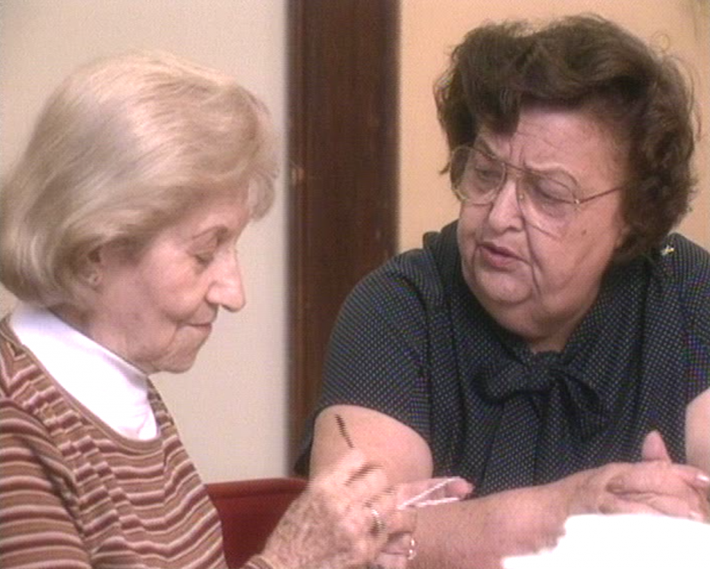 Older Voices: Interviewing Older Adults - Terra Nova Films